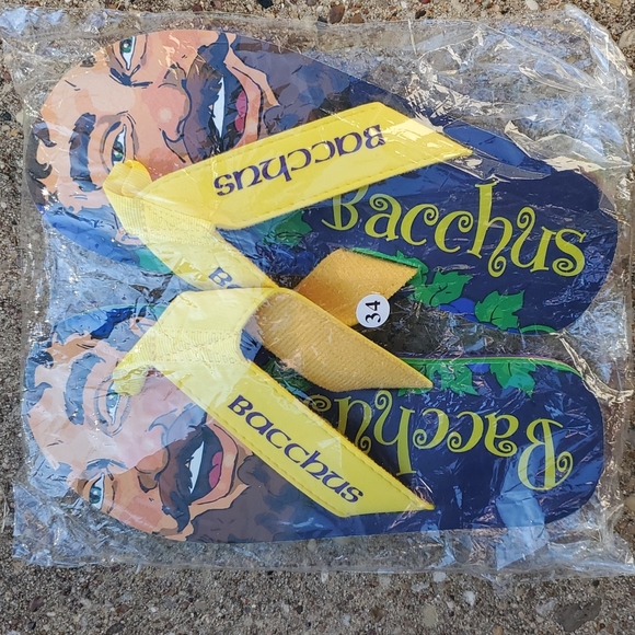 Bacchus | Shoes | Krewe Of Bacchus Mardi Gras Flip Flops Hail New ...